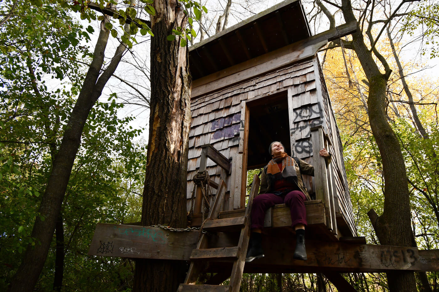 My Top 10 ‘Wild and Crazy’ Client Requests! | The Gabby Gardener